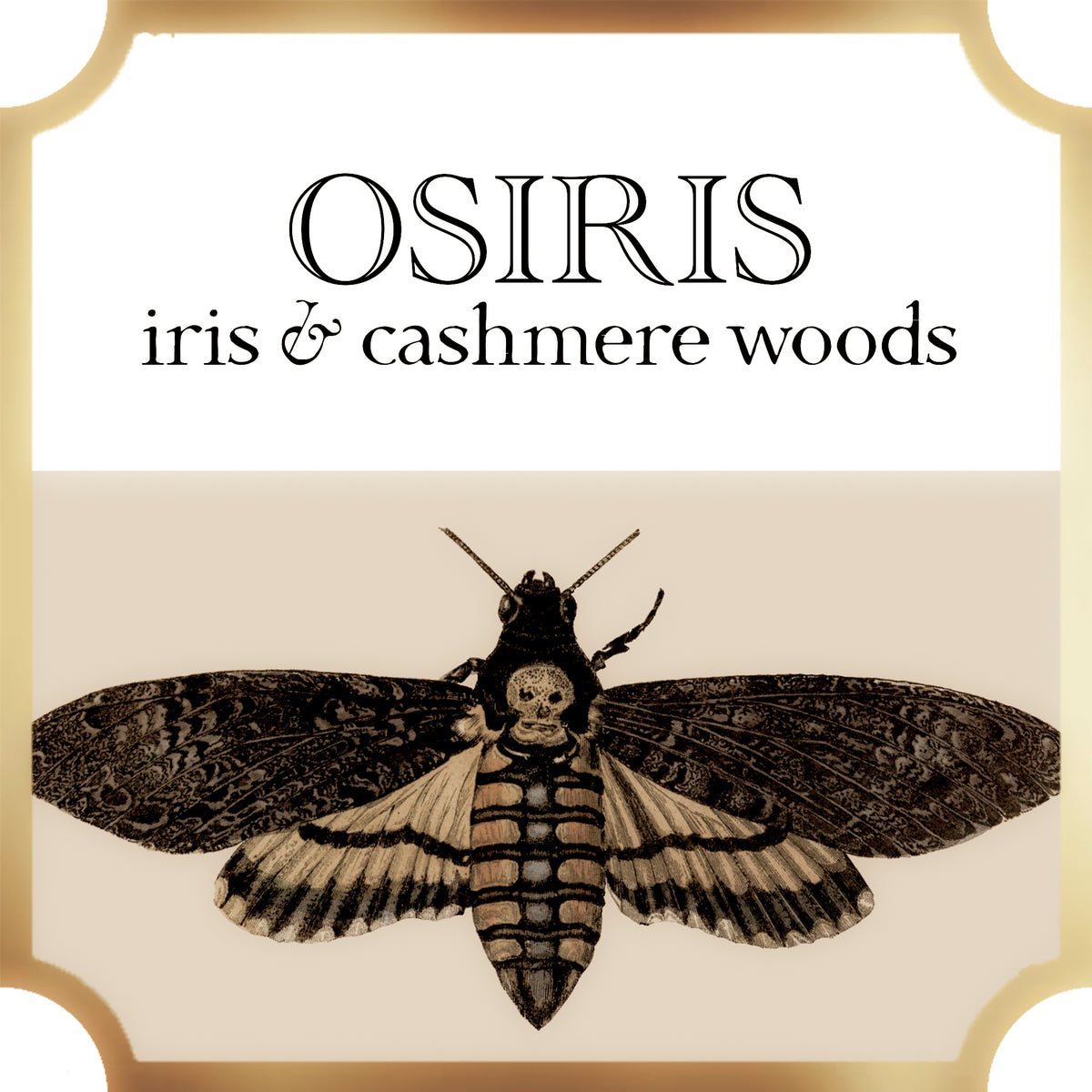 Osiris | Iris & Cashmere Woods | Collection – A Pleasant Thought