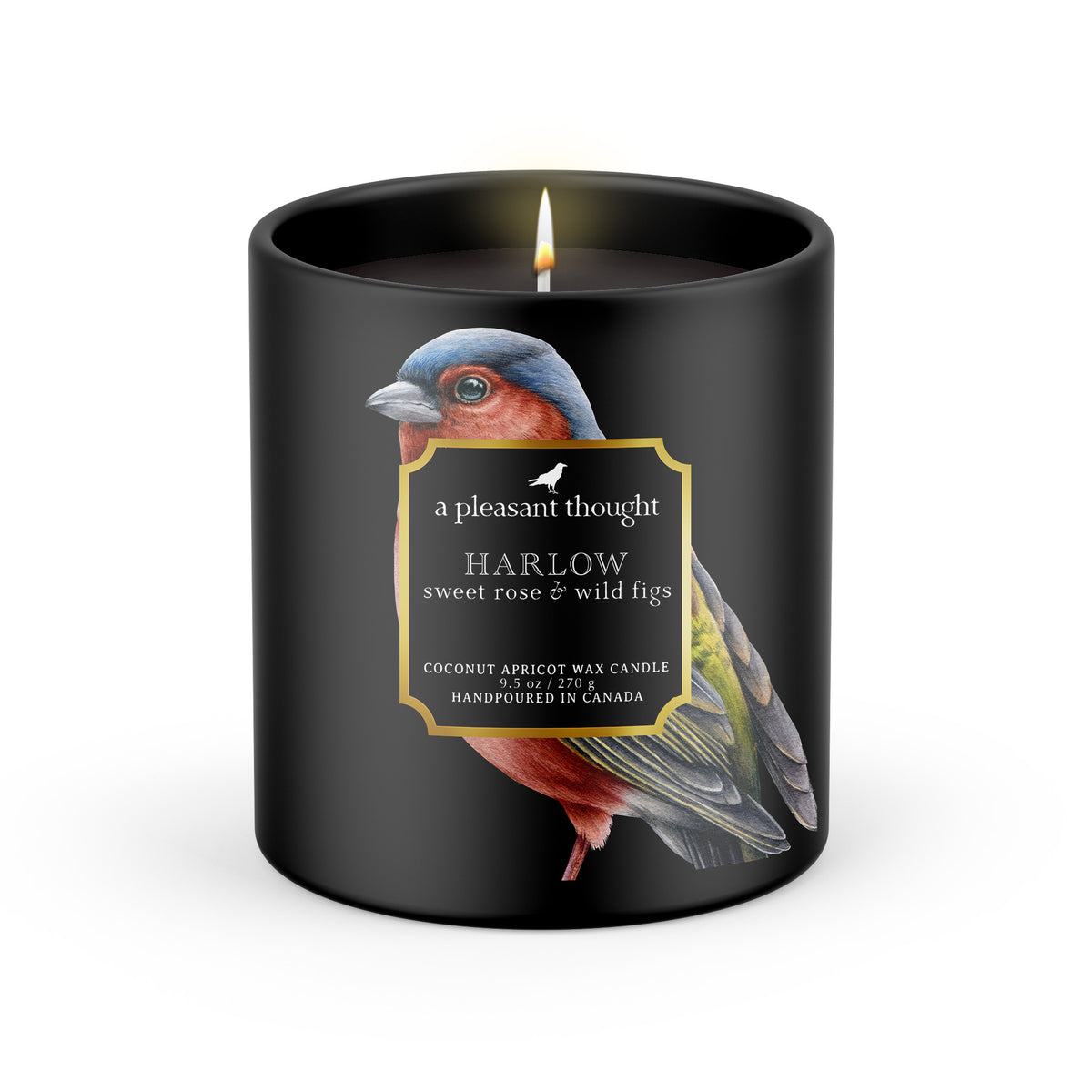 Harlow | Sweet Rose & Wild Figs | Raven Candle – A Pleasant Thought