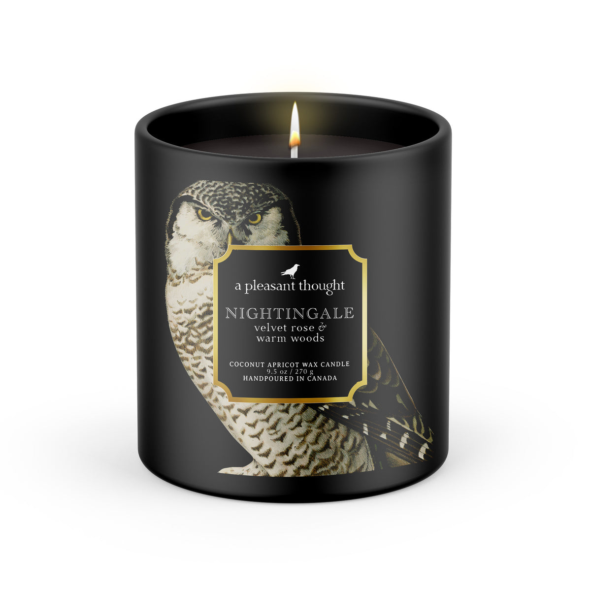 Nightingale | Velvet Rose & Warm Woods | Raven Candle – A Pleasant Thought