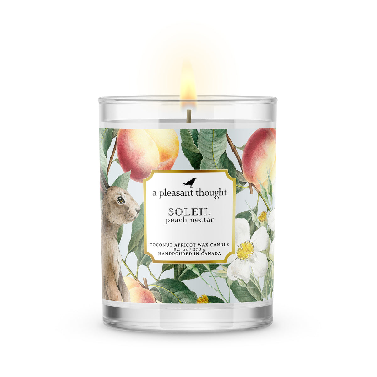 Soleil | Peach Nectar | Candle – A Pleasant Thought