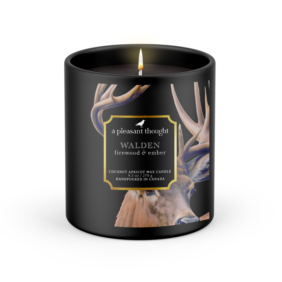 Walden | Firewood & Ember | Raven Candle – A Pleasant Thought